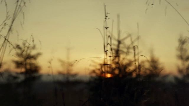 Родина -Наиля Зиганшина