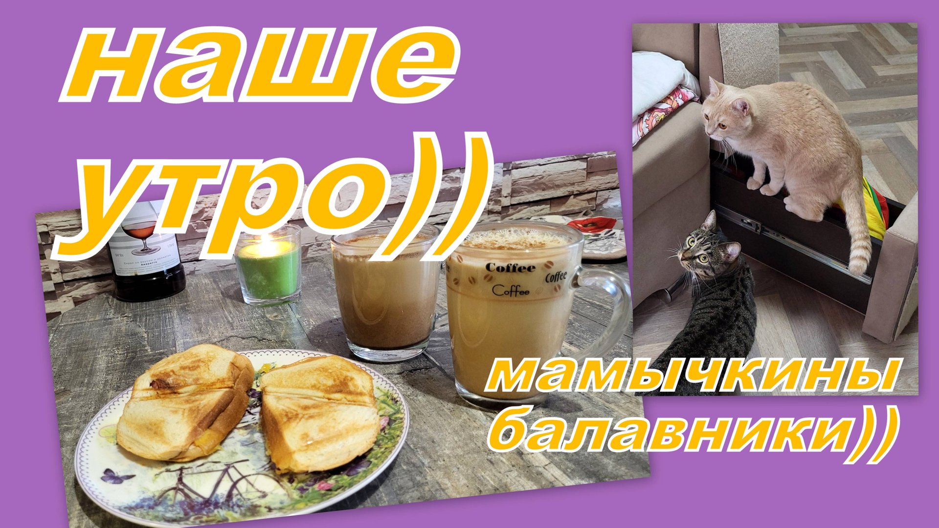 ВЛОГ: НАШЕ УТРО, ЧТО ПОЧИТАТЬ, ПУШИСТИКИ ОТЖИГАЮТ...)))))))