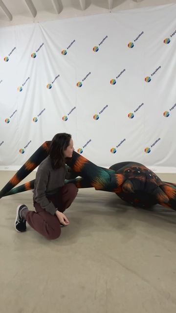 Паук-подушка. Не страшно, если мягкий! #shorts