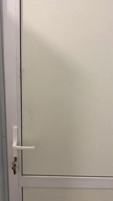 Санитарная зона в бойне. Убой скота КРС, коров.