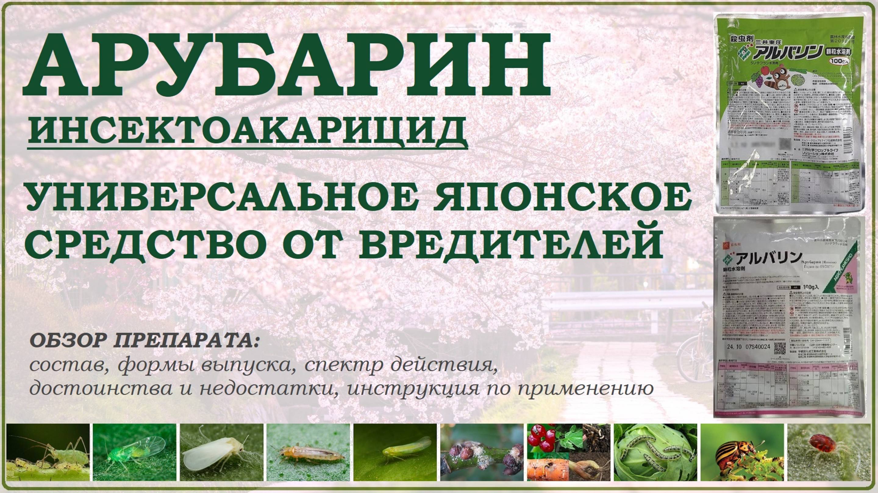 Арубарин - эффективное универсальное японское средство от вредителей.Обзор инсектоакарицида