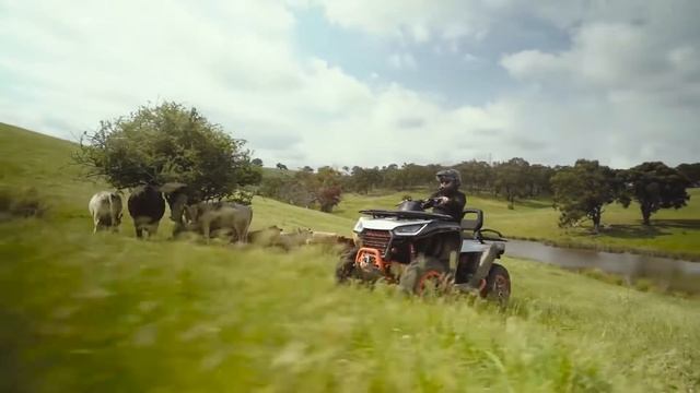 Snarler AT6 L - Segway Powersports  Russia