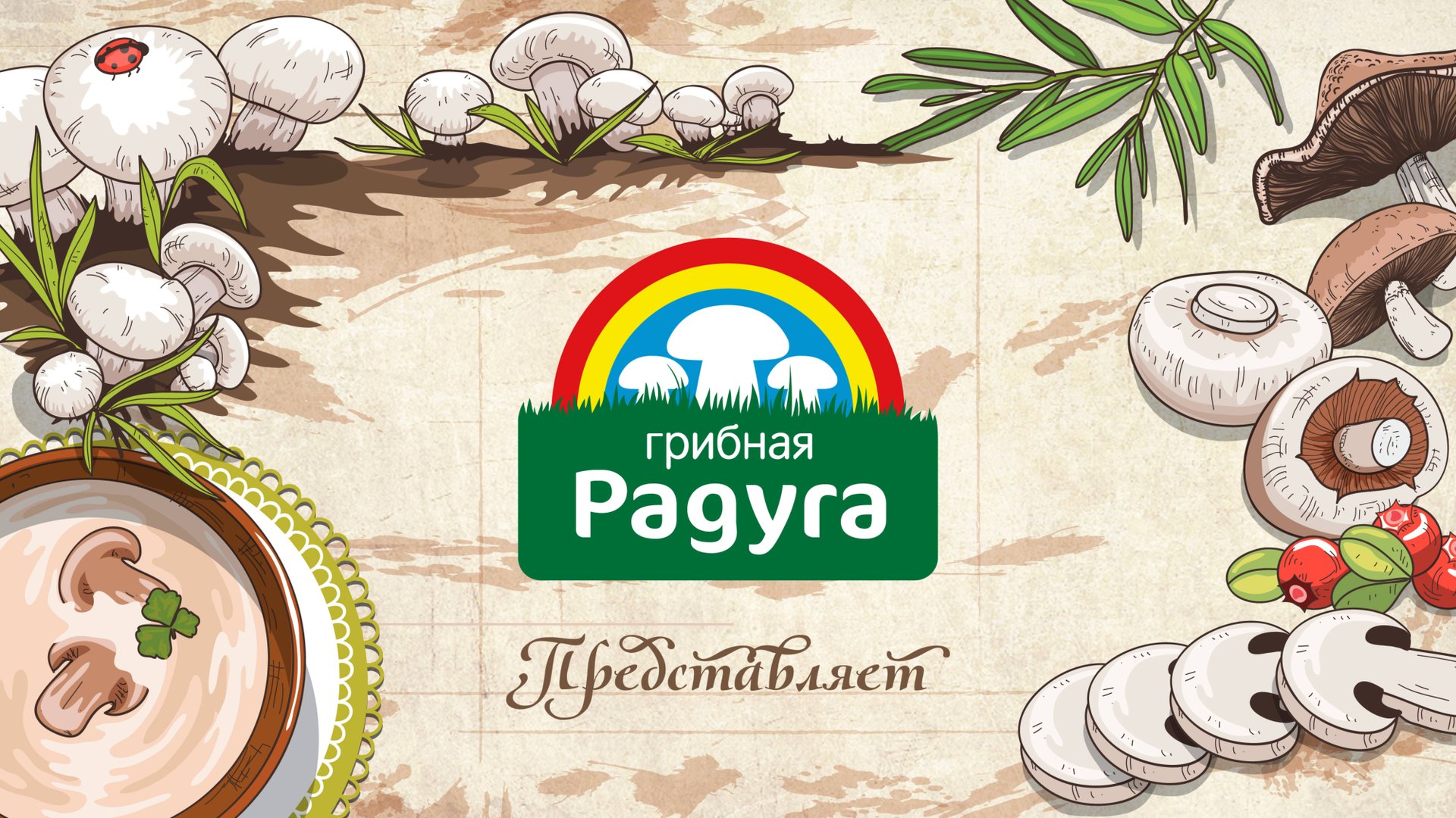 Место где выращиваются шампиньоны 🟫 Релаксовое видео о производстве