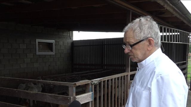 Вай боахам  171025 автор  Холохоева  Пятимат