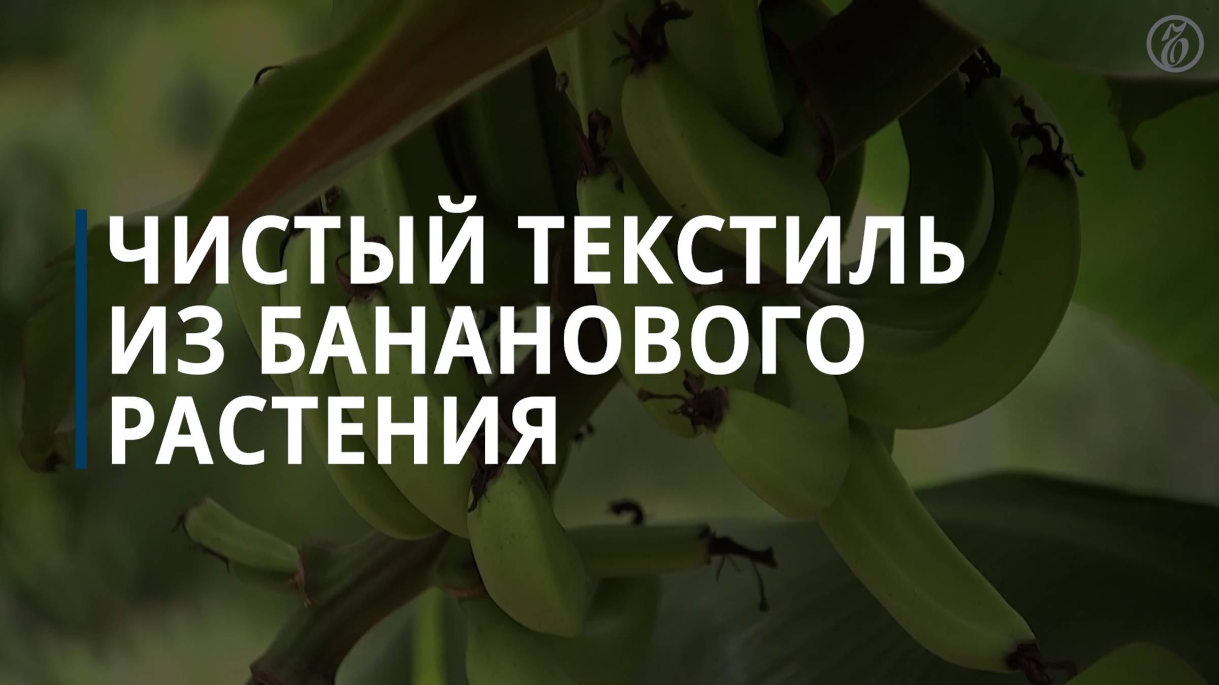 Чистый текстиль из бананового растения