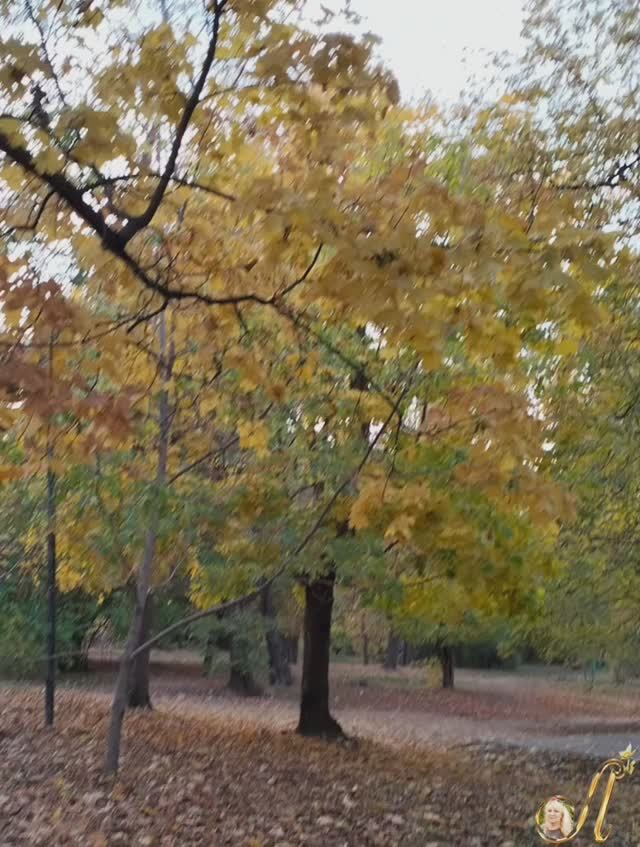 Осенняя прогулка🍁🍂