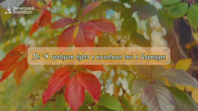 До +8 и без осадков: о погоде в выходные дни на территории Барнаула