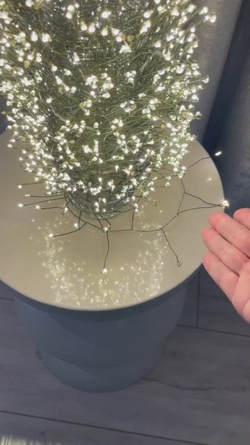 BP-1000WW-8-зелпр_3