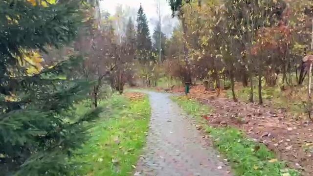 Дождливая осень Подмосковья -в командировке .Песня исполнена ИИ на стихи моего отца
