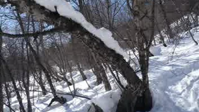 Зима в горах.