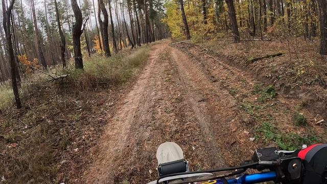 МотоБудни на питбайке, Kayo 140 до рельсов ЖД через лес