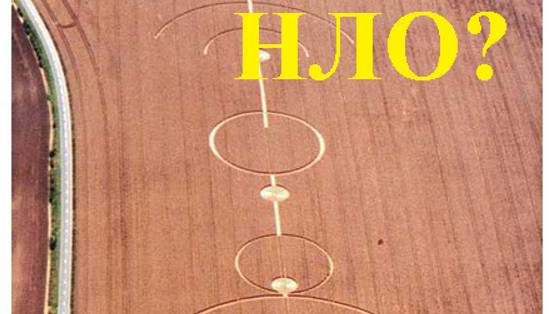 Круги на полях». Уффингтон, Оксфордшир в июле 1994г.!13