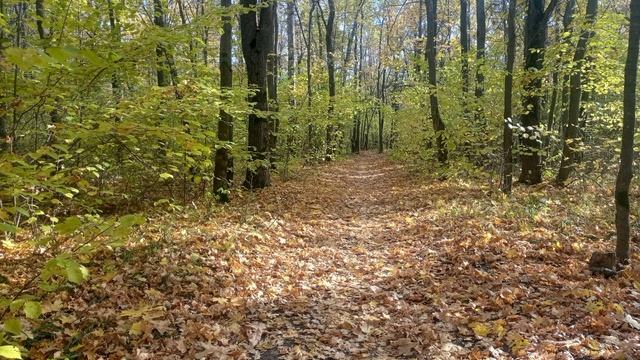 Музыка для сна  3