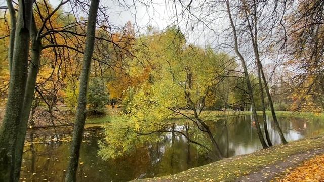 Осень в Москве. Воронцовские пруды.