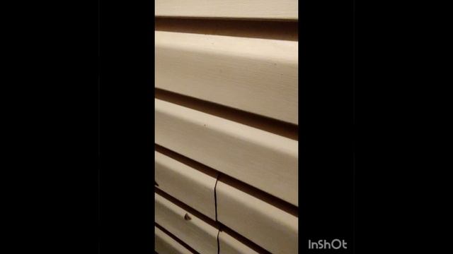 Просто мотыльки