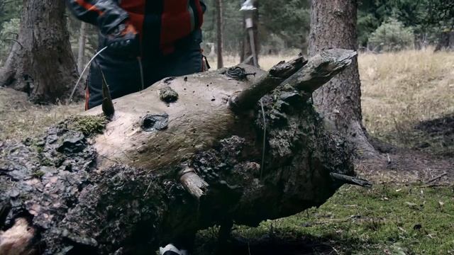 Утилитарные квадроциклы UTV SEGWAY FUGLEMAN