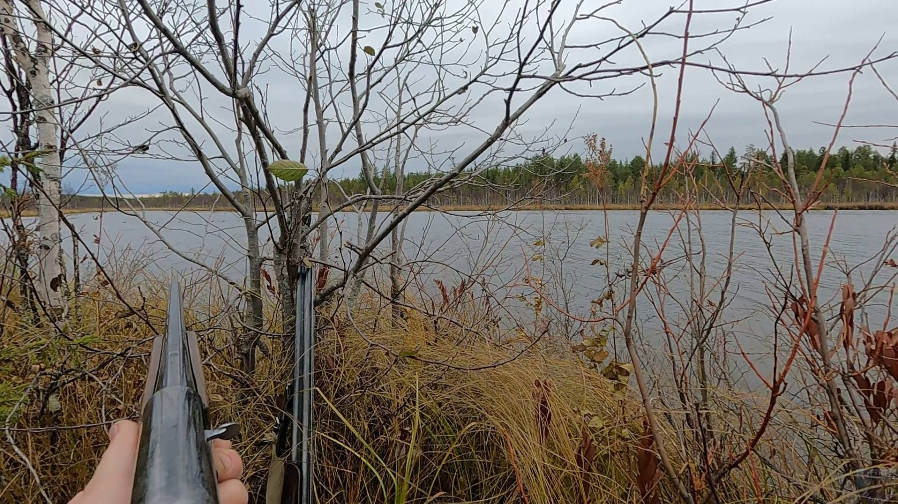 Утиная охота \ В ожидании перелёта \ 14 10 2025