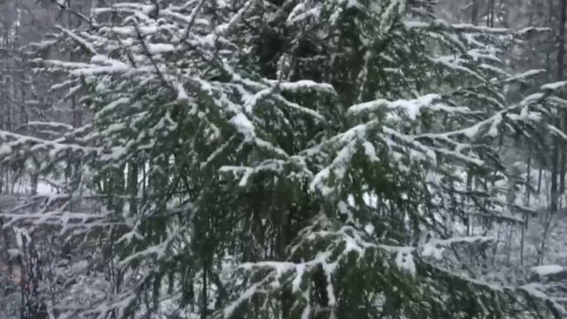 Падал снег. Песня М. Круга