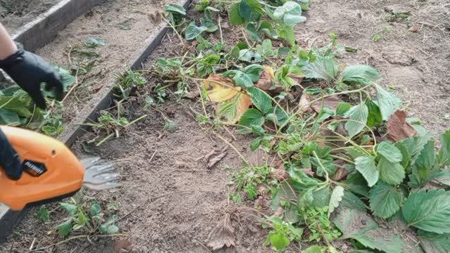 УБОРКА В ТЕПЛИЦЕ 🏡🧹Подготовка участка к зиме