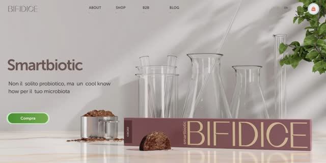Концепция сайта Bifidice