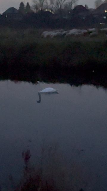 После заката солнца