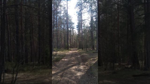 №95 Прямое исцеляющее воздействие