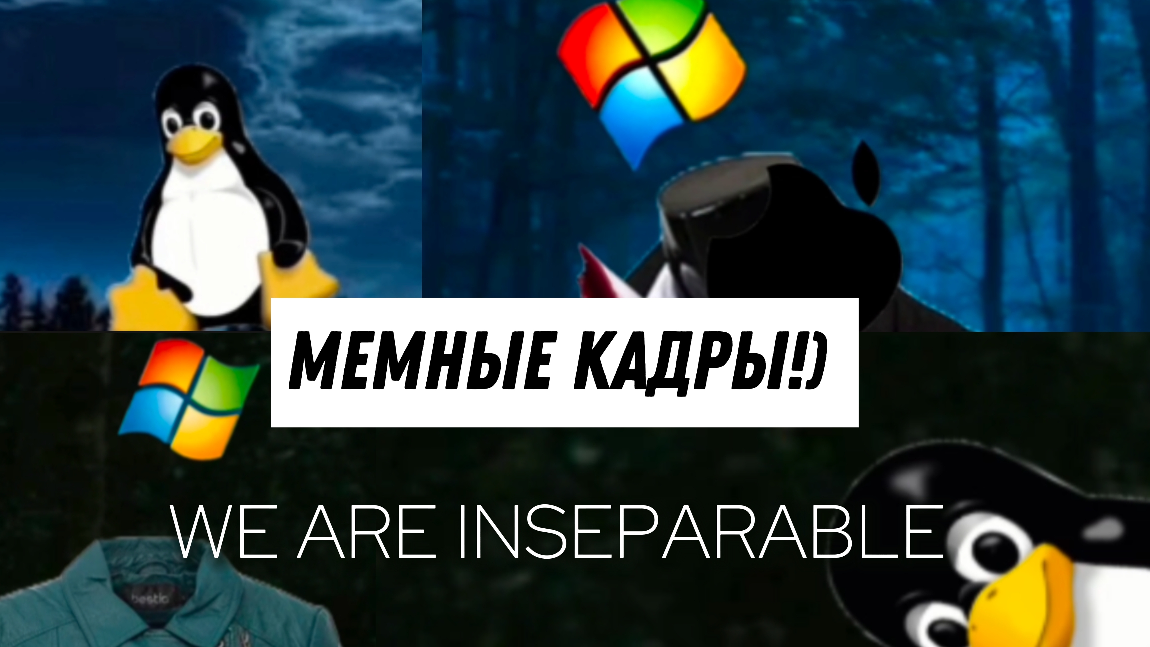 МЕМНЫЕ КАДРЫ! (Возможно нет) WE ARE INSEPARABLE