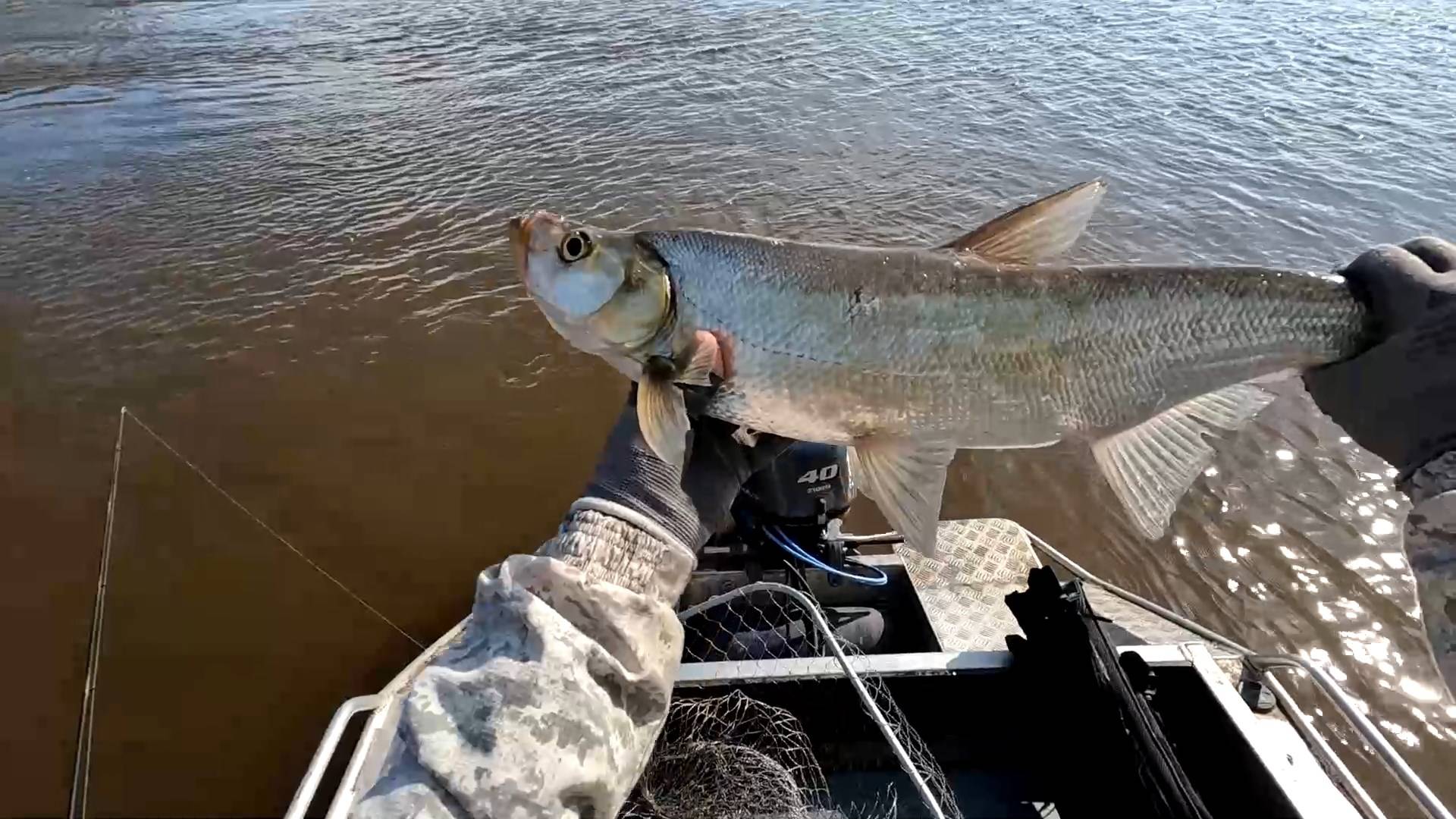 Осенний жор он такой!