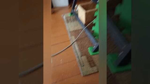 СКУЛБОЙ ПРОТИВ ЗАЙЦА И ТИГРА В РЕАЛЬНОЙ ЖИЗНИ!(5 КОНЦОВКА)