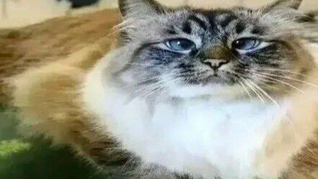 Соник ехе секонд раунд 2 и Соник ехе он мор тайм самое быстрое прохождение двух игр