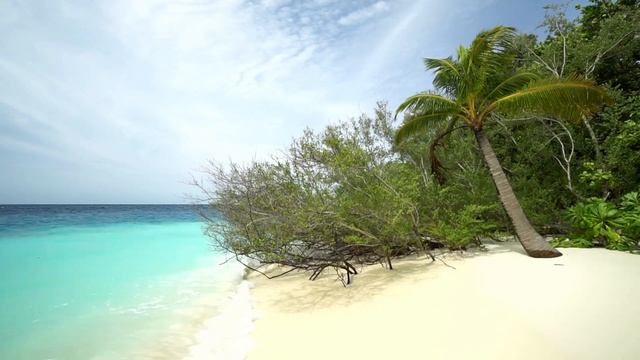 🔴 РАССЛАБЬСЯ у моря на 100% 🌊 ОТДОХНИ под музыку и звуки природы 🌱 ОТПУСТИ ТРЕВОЖНОСТЬ и дыши 🌈