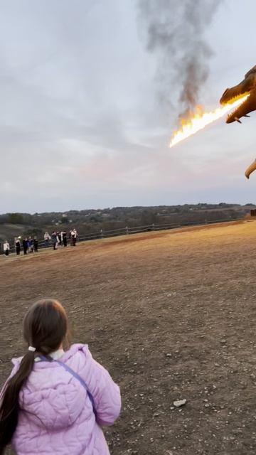 Дракон огнедышащий на "Кудыкиной горе" #shorts