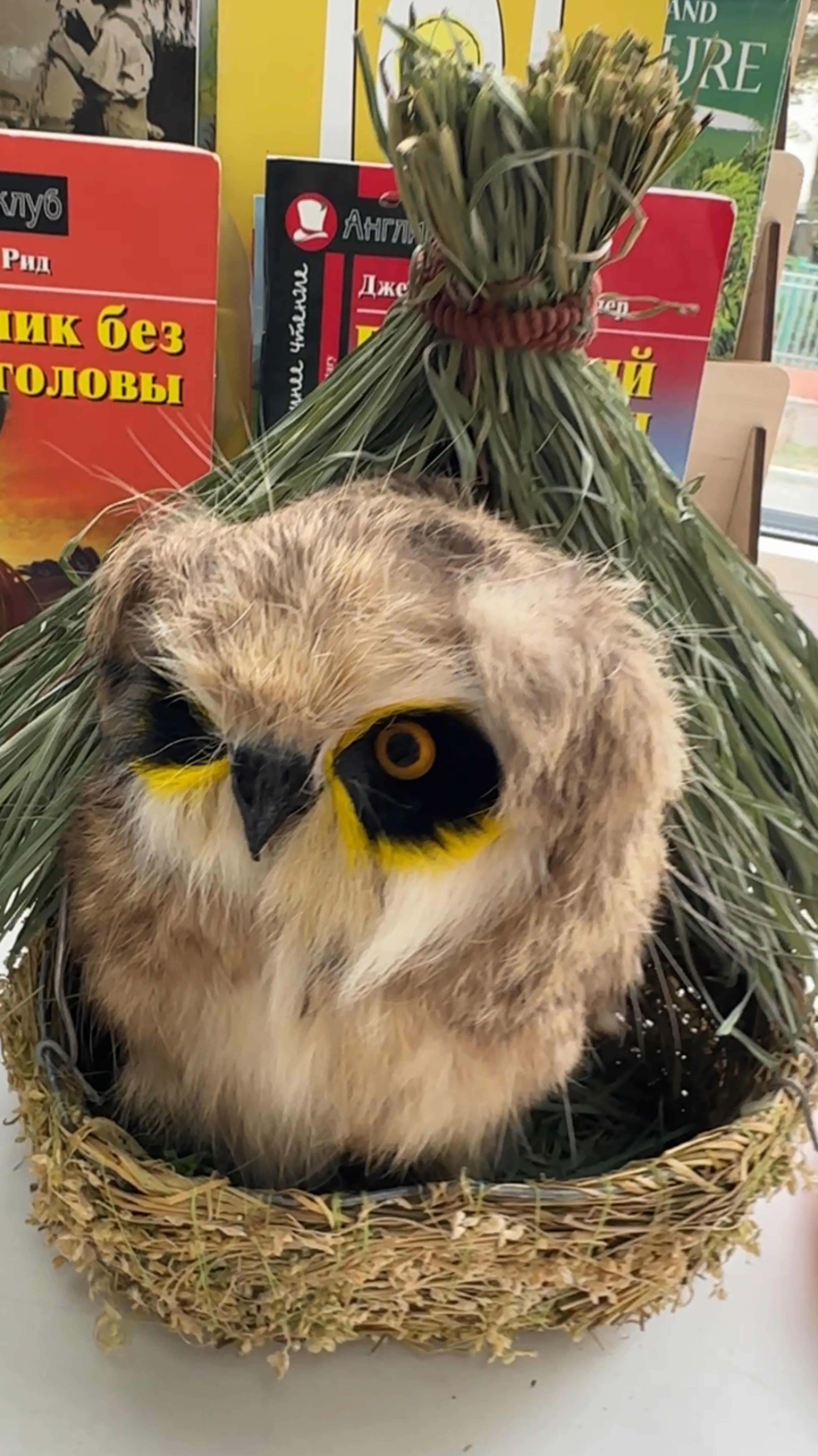 Осенняя выставка на подоконнике в классе. Осеннее украшение класса.