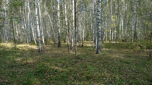 Музыка для сна 4