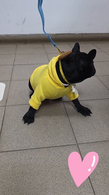 Солнышко 😍