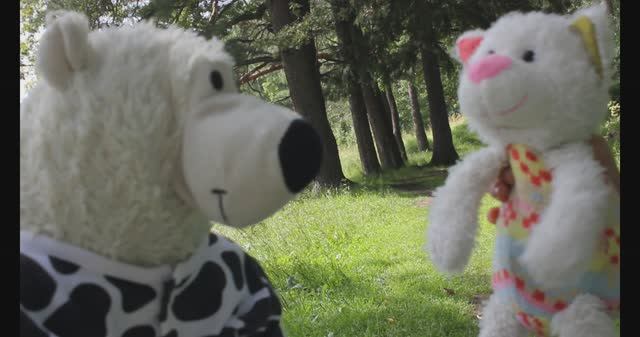 Мишка и Снежок гуляют в лесу и у реки. Природа, лес и река для детей.