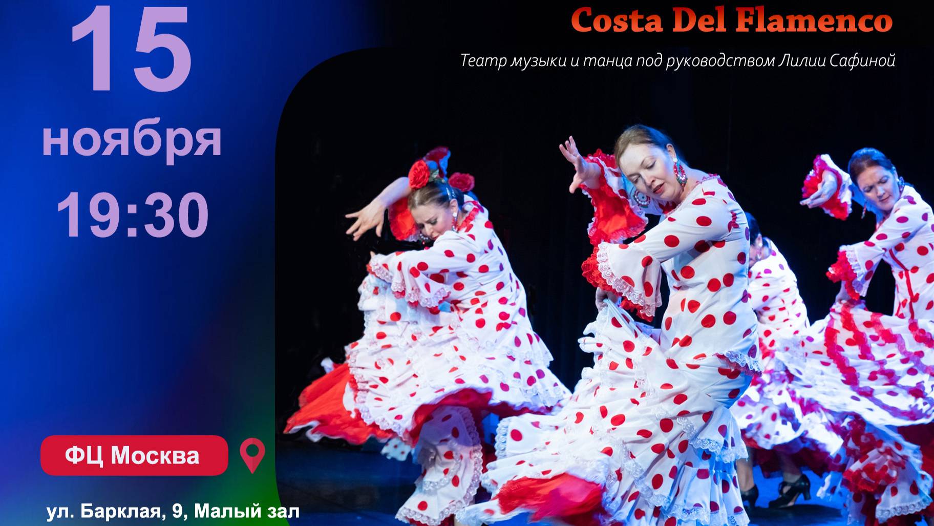 Танцевальное шоу Costa del Flamenco - 15 ноября 2025