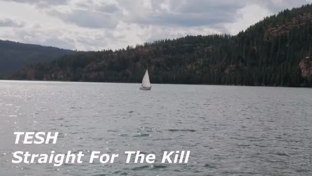 TESH - Straight For The Kill