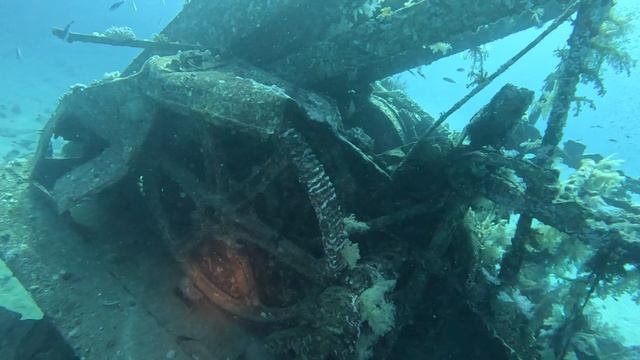 Подъёмный кран, Million hope (Миллион Хоуп) wreck, дайвинг в Египет, дайвинг в Шарм эль шейх, 2024