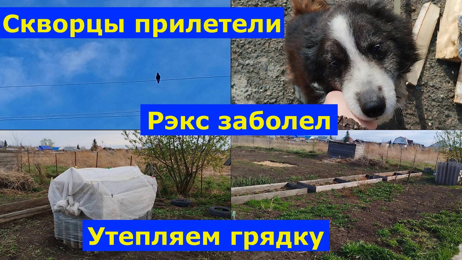 VLOG 04.-07.05.2025г. Продолжаем весенние работы на огороде: утепляем грядку #семья #огород