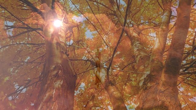 ЛЕТАЙ. Посвящается солистам группы "Антиреспект" Михаилу и Александру Степановым