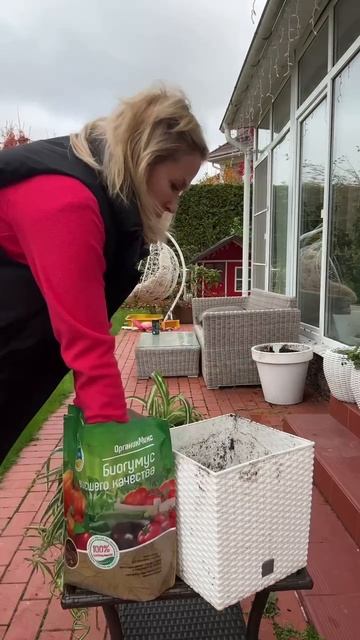 Изумрудная роскошь