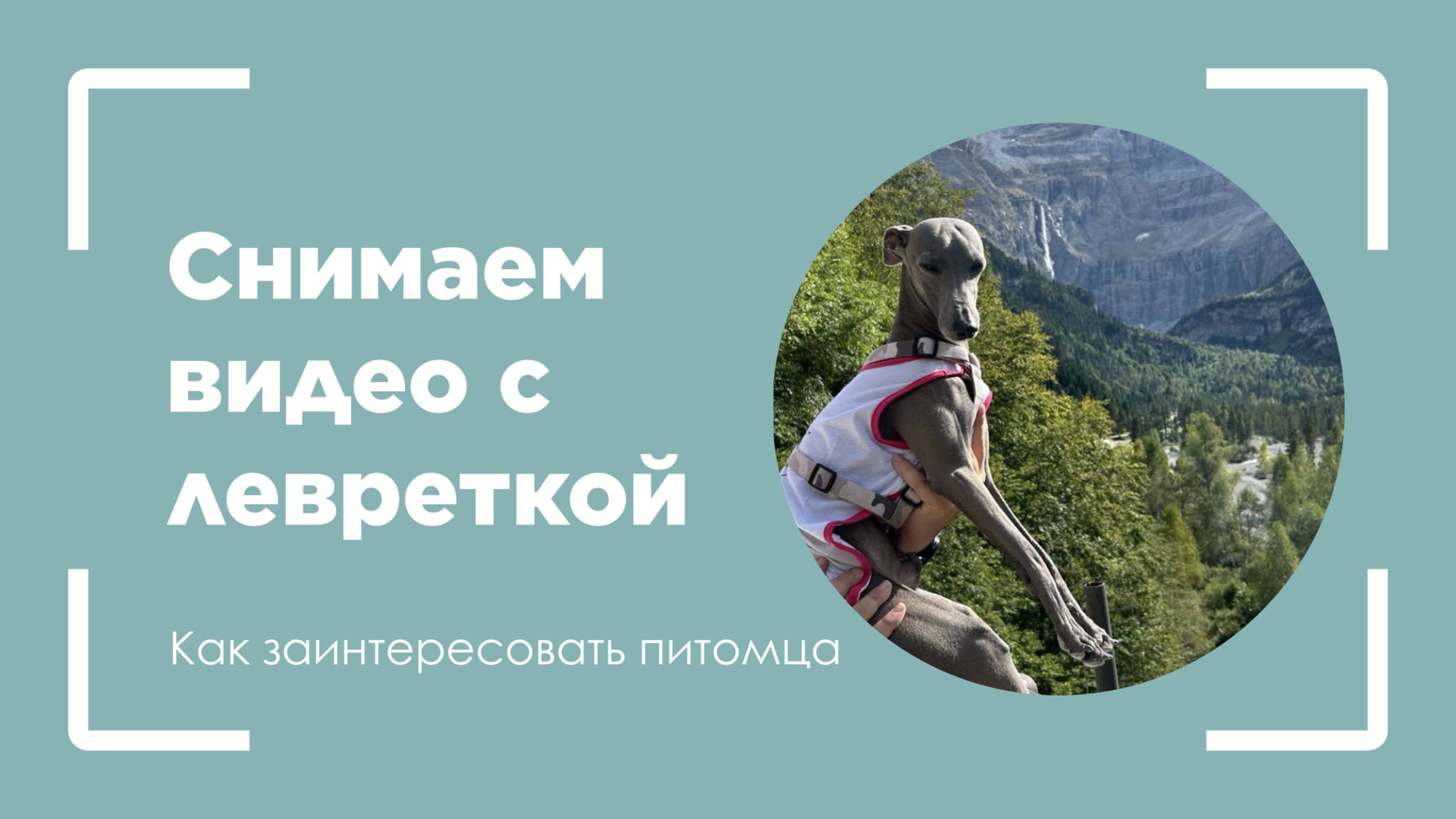 ЛЕВРЕТКА И ВИДЕОСЪЕМКА. Как заинтересовать.