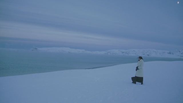 DJ Сиречь - Мёртвый лёд