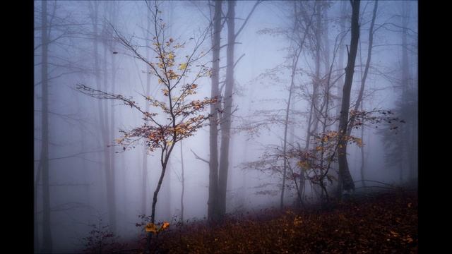 МДП - Балканская осень