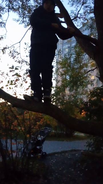 Прекрасное далёко