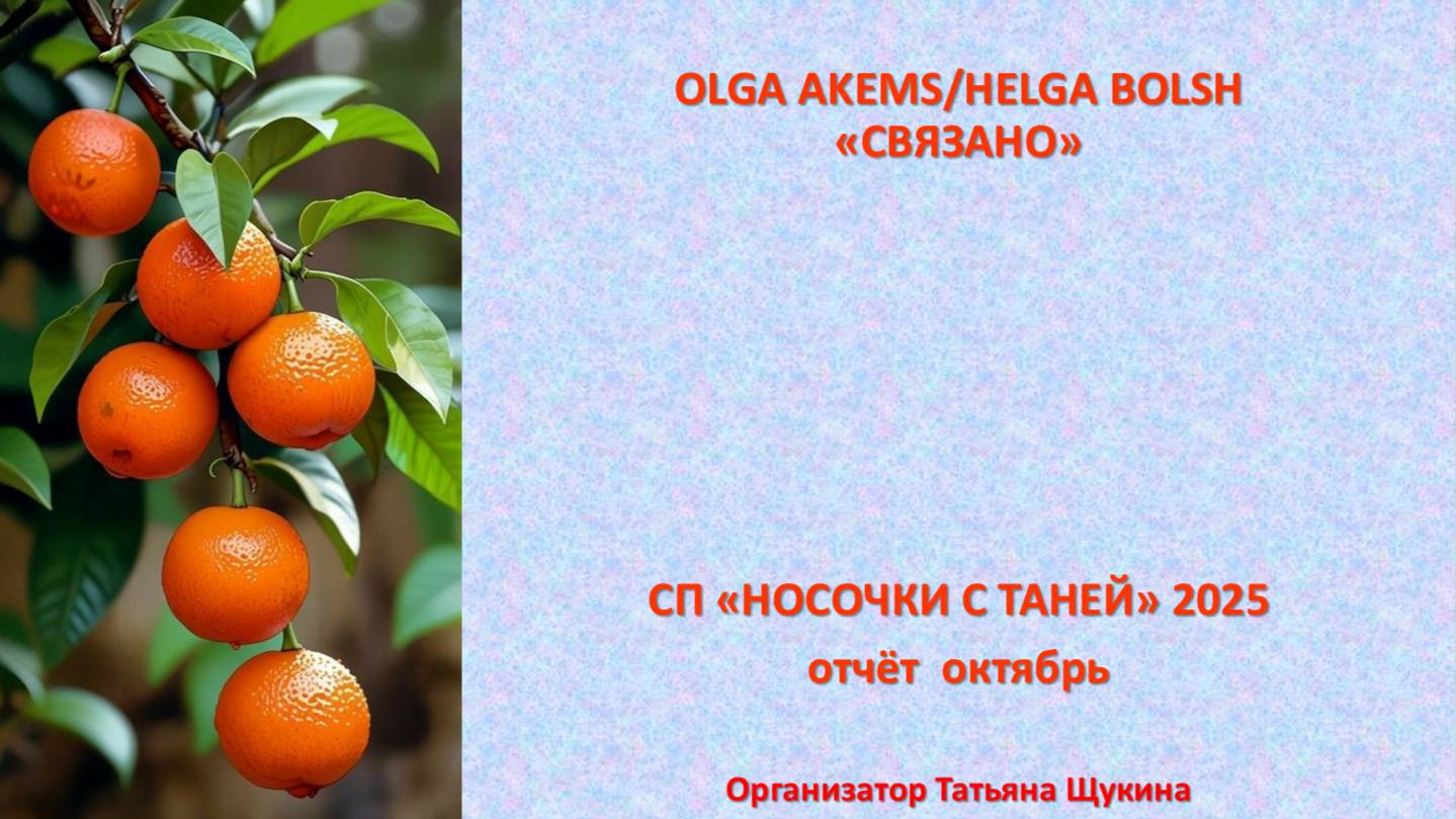 СП "Носочки с Таней 2025" отчёт октябрь