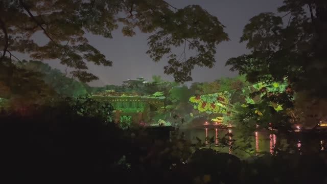 Сеул. Южная Корея. Дворец Чангёнгун.Световое шоу, Игровые автоматы.