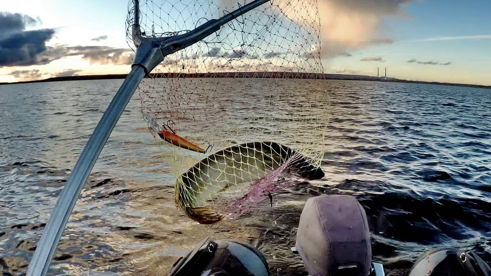 На Нарвском с эстонской песней ))