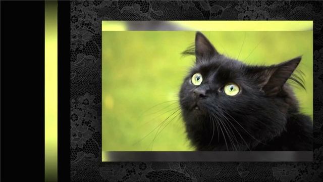 Ramio Lin - Фантазия